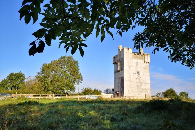 Private visit in an Irish Castle Home - An In-Depth Look at the Brackloon Castle Tour