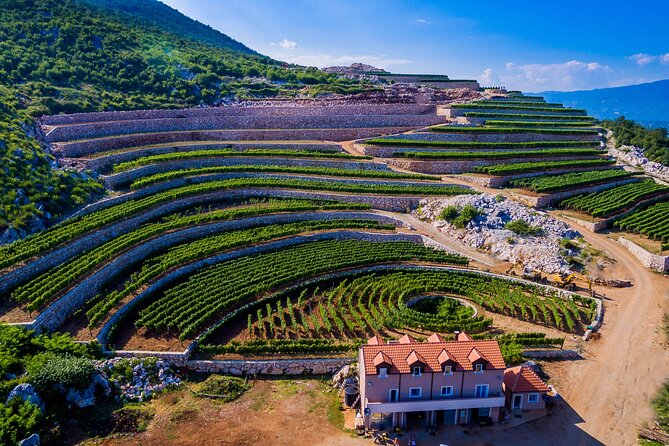 Private Wine Tasting Activity at Lipovac Winery - Exploring Lipovac Winery: A deep dive