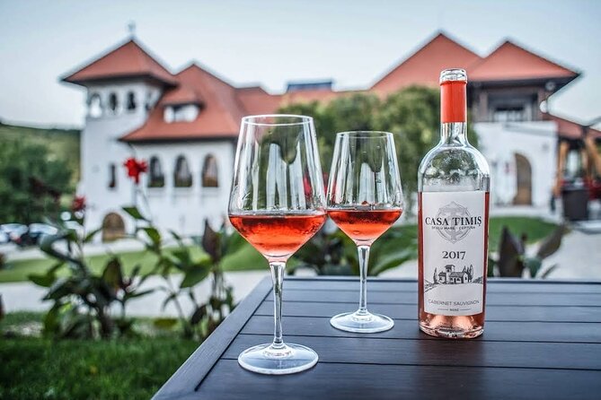 Private Wine Tasting in Cellar and the Winemaking process - A Deep Dive into Romania’s Winemaking: Private Wine Tasting in Cellar and the Winemaking Process