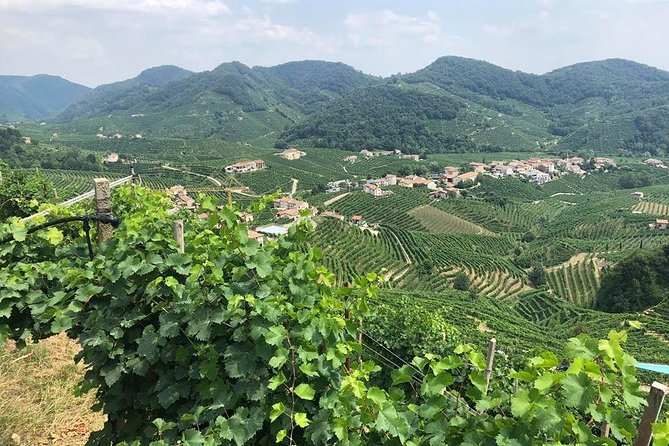 Prosecco and Cheese Tasting. From Venice. Full day - Key Points