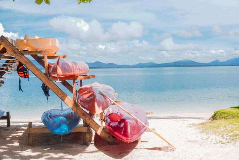 Puerto Princesa: Cowrie Island Guided Day Tour with Meal - Key Points