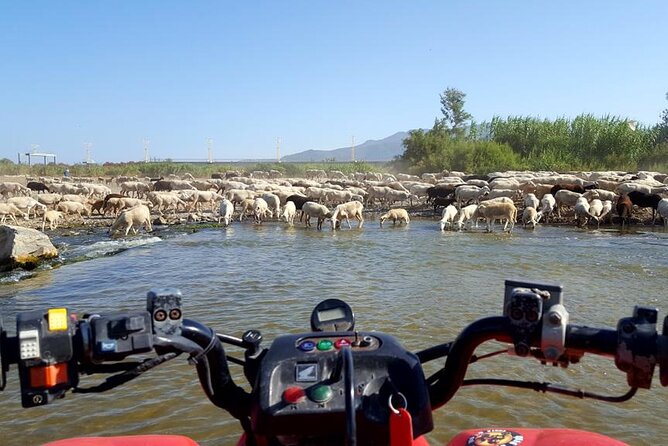 Quad Bikes for Guided Tours. - Authentic Encounters and Scenic Highlights