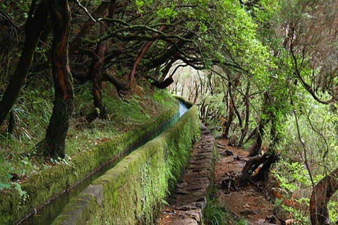 Rabacal - 25 Fountains - Discovering Madeiras Natural Wonders: The Rabacal - 25 Fountains Tour