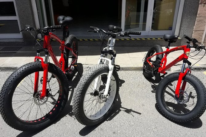 Rent A Bike (electric & Normal) Corralejo - Why Rent a Bike in Corralejo? An Overview