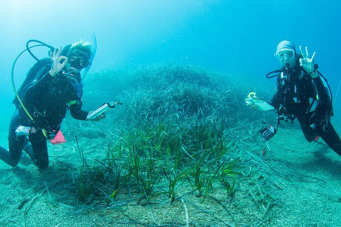 Research diving with a Marine Biologist in Crete - Key Points