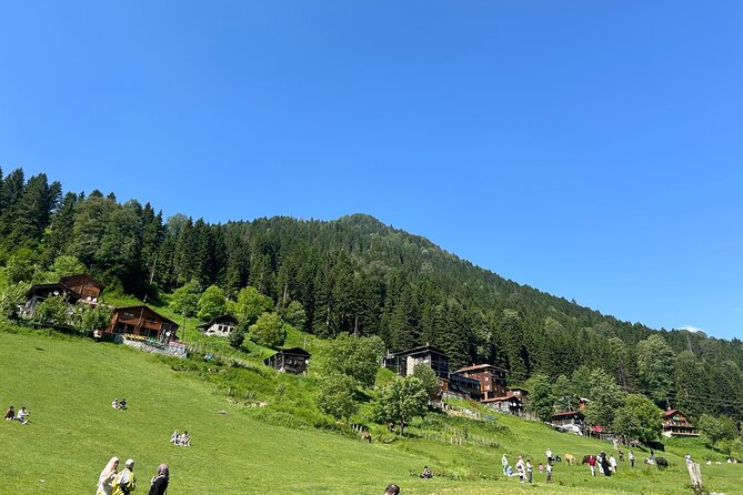 Rize and Ayder Tour Mountains and River - An In-Depth Look at the Rize and Ayder Tour