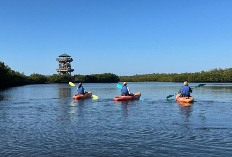 Robinson Preserve Mangrove Tour - Key Points: