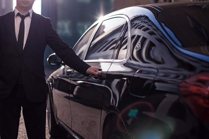Rome Private Car & Chauffeur for Business, Shopping, Sightseeing - Introduction
