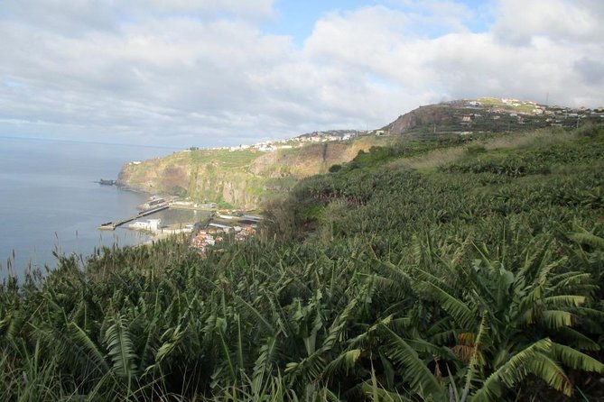 Rota do Açucar - Levada Nova (Half Day Walk) - An Overview of the Route and Its Highlights