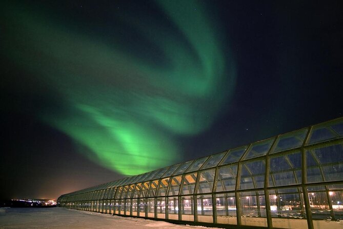 Rovaniemi walking tour and guided Arktikum experience - Key Points