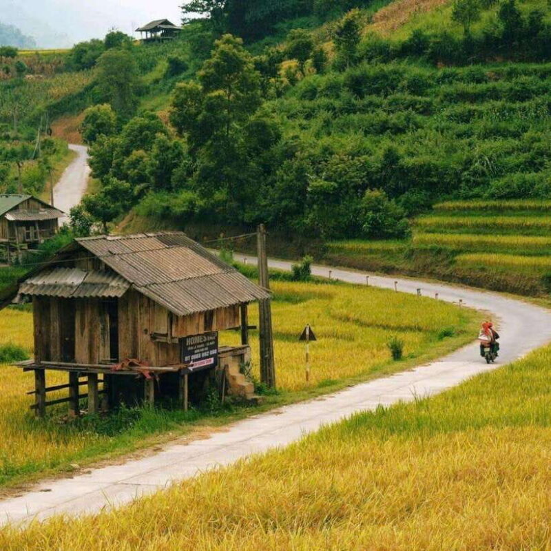 Sa Pa: 2-Day Trekking Tour with Ethnic Minority Homestay - Key Points