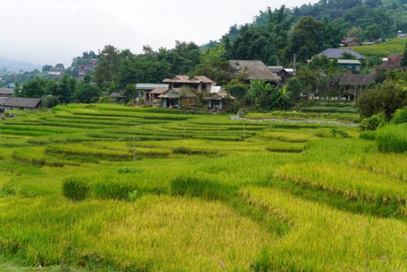 Sa Pa: Half-Day Cat Cat Village Hike to Meet H'mong People - Key Points