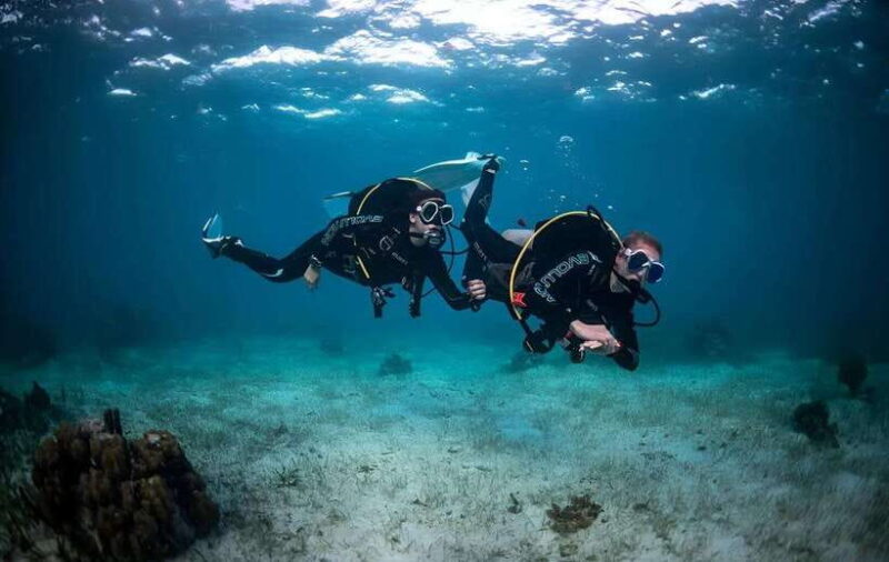 Sabah : Mamutik & Sapi Island Excursion Ticket - Introduction