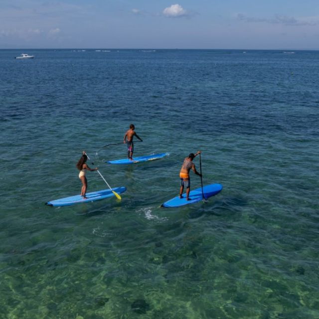 Sanur : Stand Up Paddleboard - Introduction