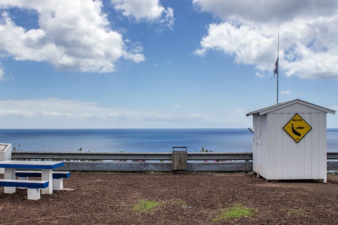 São Miguel: Azores Whaling Heritage Tour - Key Points