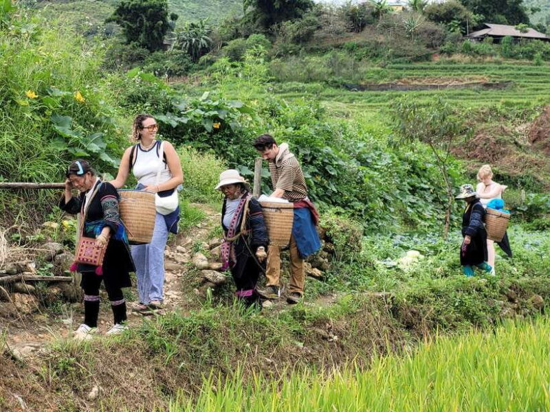 Sapa: Discover the Secrets of Red Dao herbal bath - Key Points