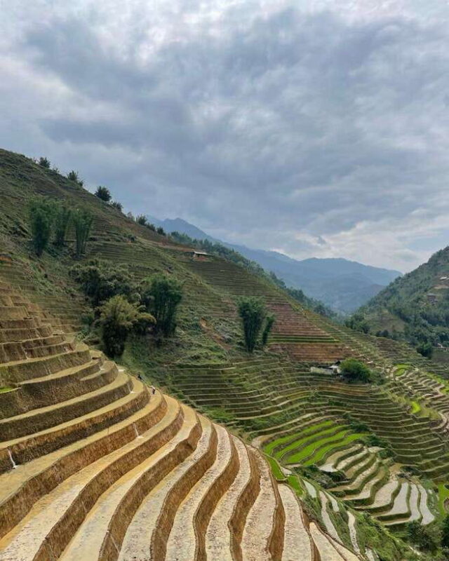 Sapa Motorbike Full Day Private Tour With Ethnic Tour Guide - Key Points