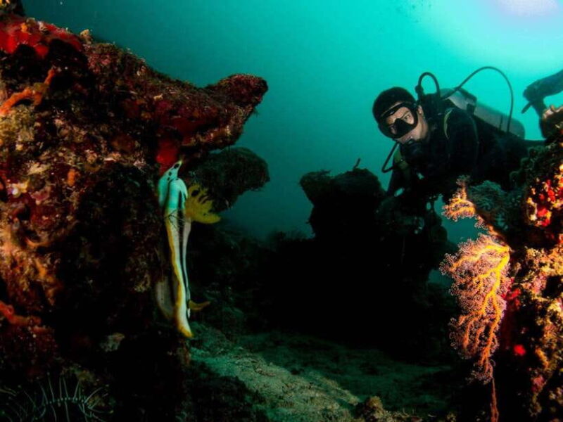 Scuba Diving in Boracay: SSI Basic Diver for Beginners - Key Points