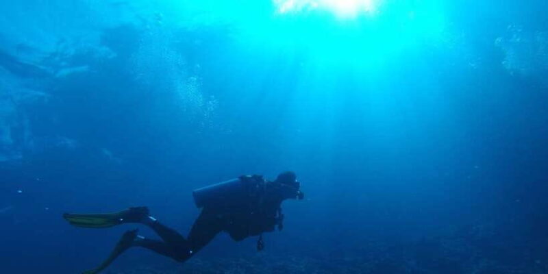 Scuba Diving in Mirissa - Key Points