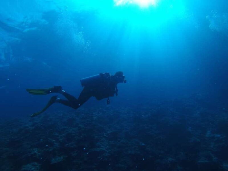 Scuba Diving in Unawatuna - Key Points