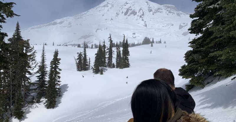 Seattle: Mt. Rainier Hiking w/ Waterfalls, Glaciers & Trees - Authentic Perspectives from Travelers