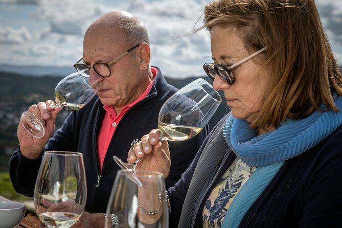 Selection Tasting | Quinta de Santa Cristina Vinho Verde - A Detailed Look at the Selection Tasting at Quinta de Santa Cristina