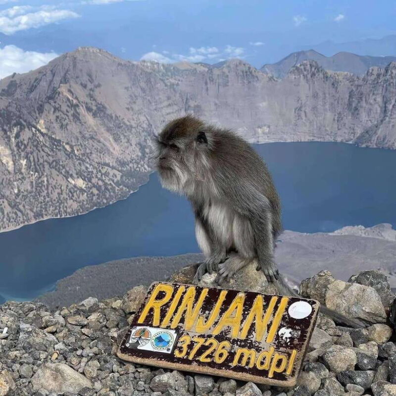 Sembalun/Senaru: Mt. Rinjani Summit 2-Day Trekking Tour - Key Points