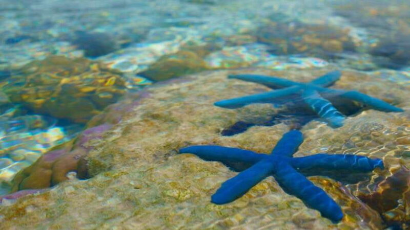 Semporna : Island Hopping Tropical Trio Sabah - Key Points