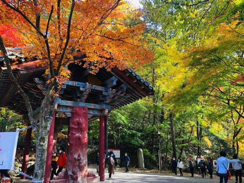Seoul: Autumn Foliage - Mt. Naejang + Jeonju Hanok Village - Key Points