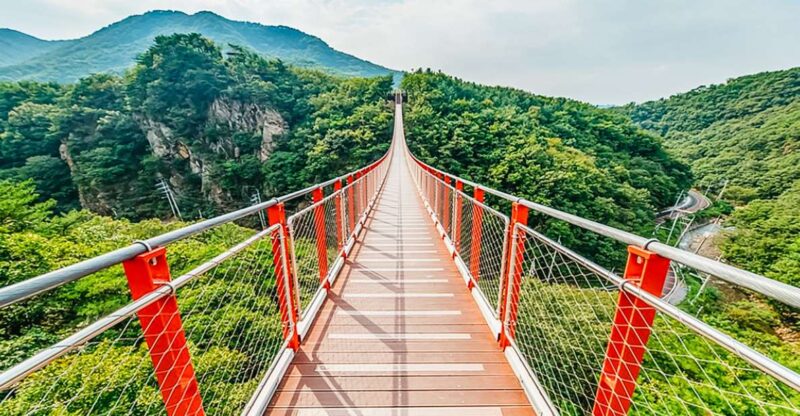 Seoul: DMZ, 3rd Tunnel and Optional Suspension Bridge Tour - Key Points
