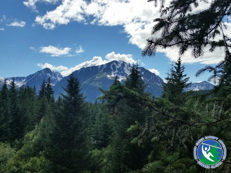 Seward: Stoney Creek Canopy Tour with Zipline - Seward: Stoney Creek Canopy Tour with Zipline — An In-Depth Look