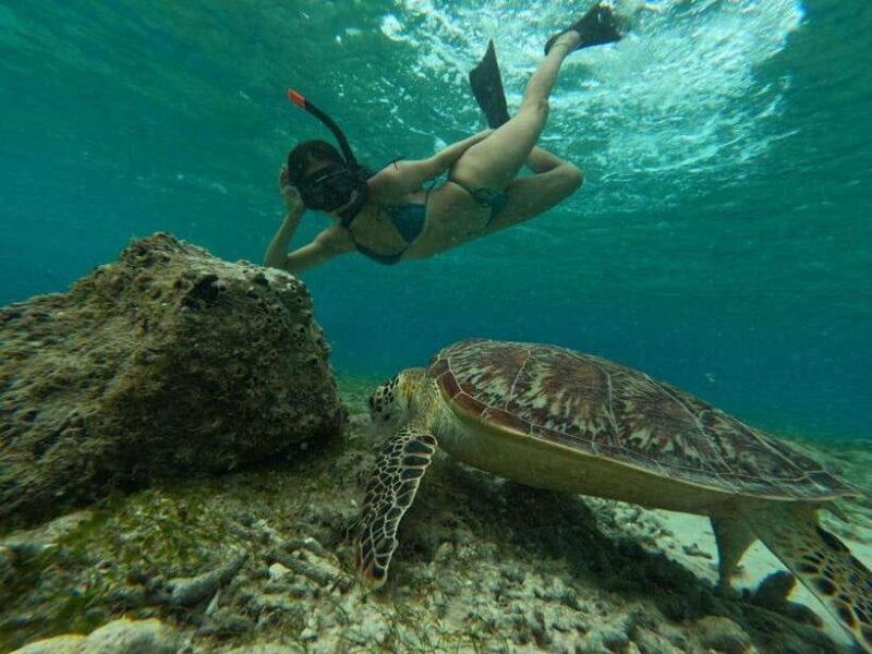 Shared Snorkeling tour around 3 island (GoPro photoshoot) - Key Points