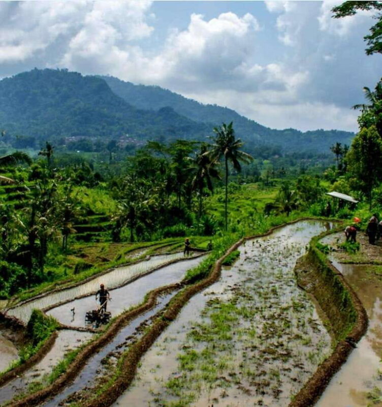 Sidemen Trekking: A Walk from Different Perspective - Key Points