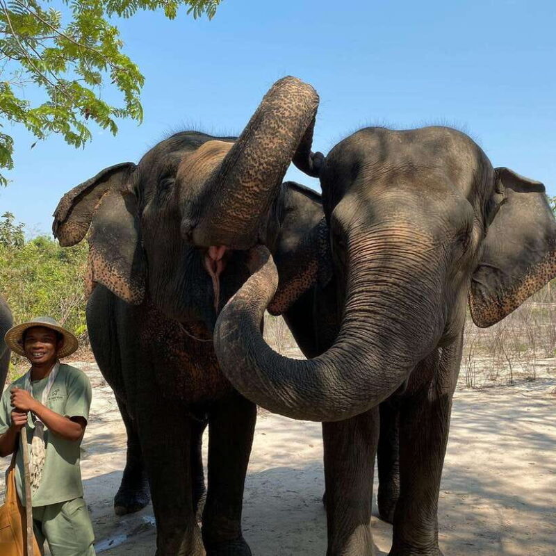 Siem Reap: Kulen Elephant Forest & Tonlesap Lake - Key Points