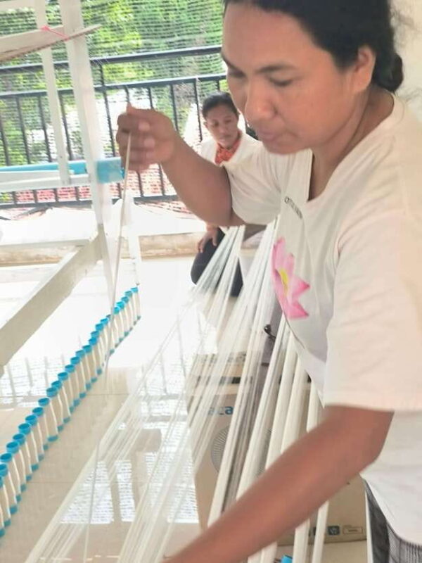 Siem Reap Lotus Silk Farm Tour with Pick Up downtown - Analyzing the Value