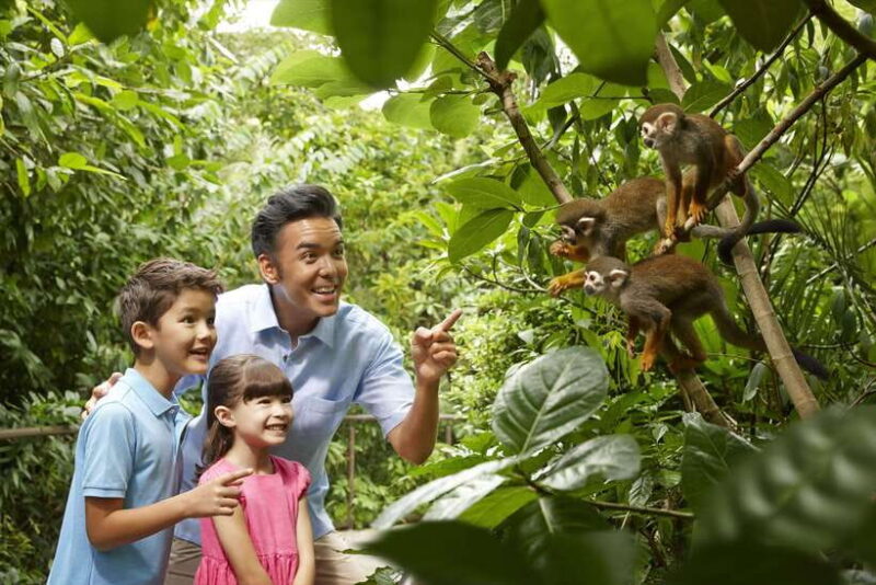 Singapore: Mandai Park Entry with Choice of Attractions - Key Points