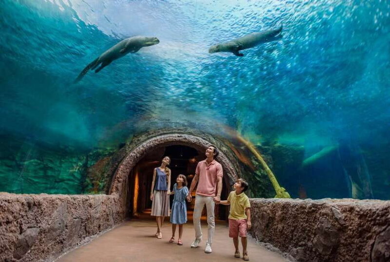 Singapore: River Wonders Entry Ticket - Singapore: River Wonders Entry Ticket – An In-Depth Review