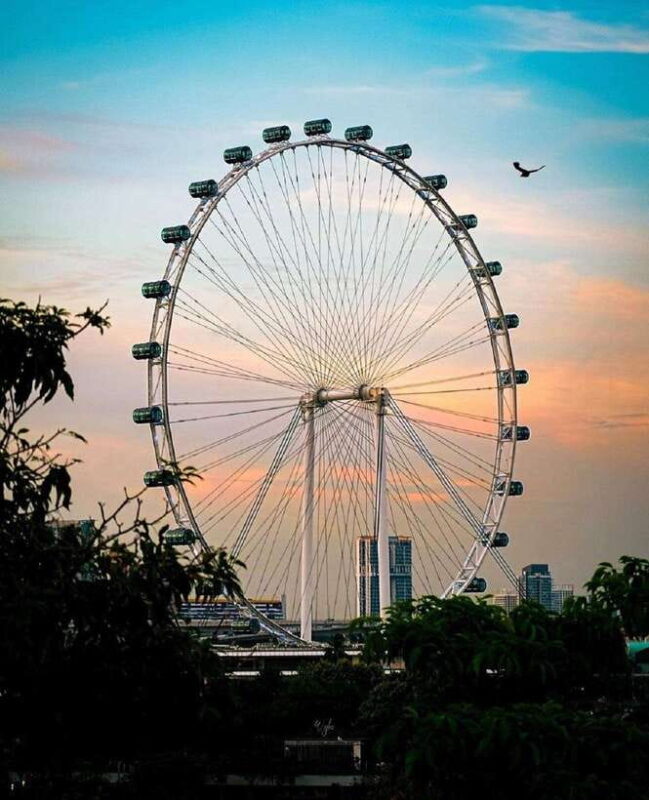 Singapore: Singapore Flyer Entry Ticket - Key Points