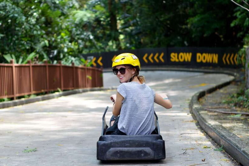 Singapore: Skyline Luge Sentosa Entry Ticket - A Closer Look at Skyline Luge Sentosa