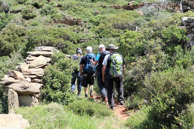 Small-Group Guided Hiking Tour in Andros with picnic on the beach - Key Points