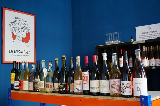 Small-Group Natural and Organic Wine Tasting near Sitges - Small-Group Natural and Organic Wine Tasting near Sitges