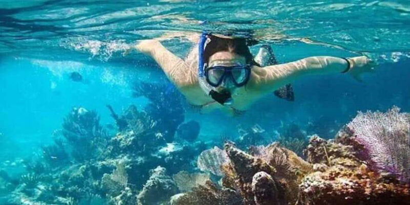 Snorkeling in Port City - Key Points