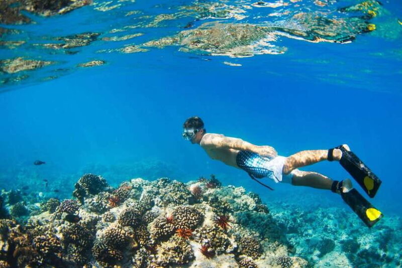 snorkling explore - Exploring the Gili Islands: A Practical Guide to an Affordable Snorkeling Adventure