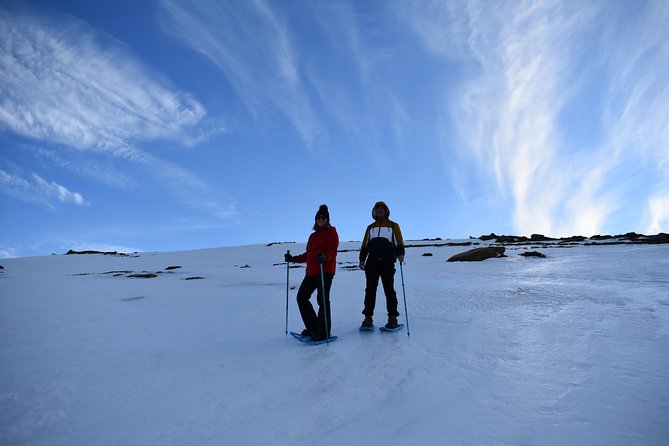 Snowshoe hiking in Sierra Nevada (Granada) - Introduction to the Snowshoe Hiking Experience