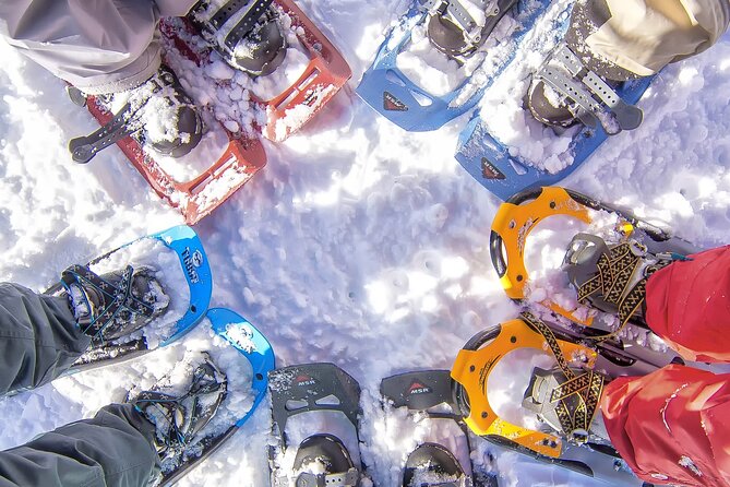 Snowshoeing in Chamonix, with a private guide - Exploring Snowshoeing in Chamonix: An In-Depth Review