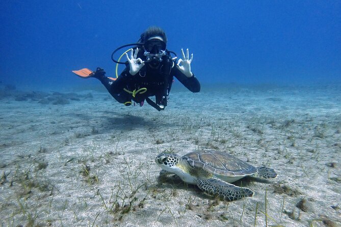 South of Tenerife : DSD Scuba Diving for beginners, Adeje - Introduction