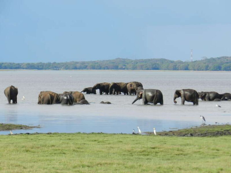 Sri Lanka: 3-Day Cultural Triangle, Hill Country, Train Tour - Key Points: