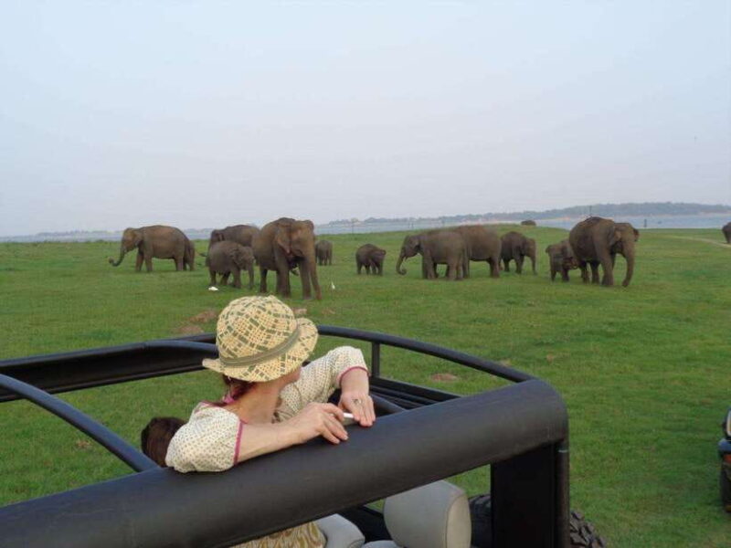 Sri Lanka: 5-Day Cities and Nature Round Tour from Colombo - Key Points