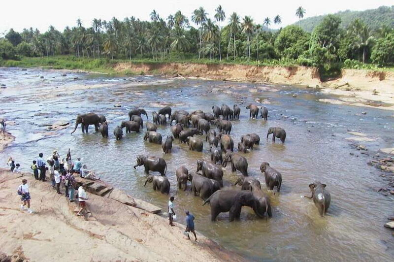 Sri Lanka ancient wonders Sigiriya, Kandy, Dambulla 2-day - Key Points