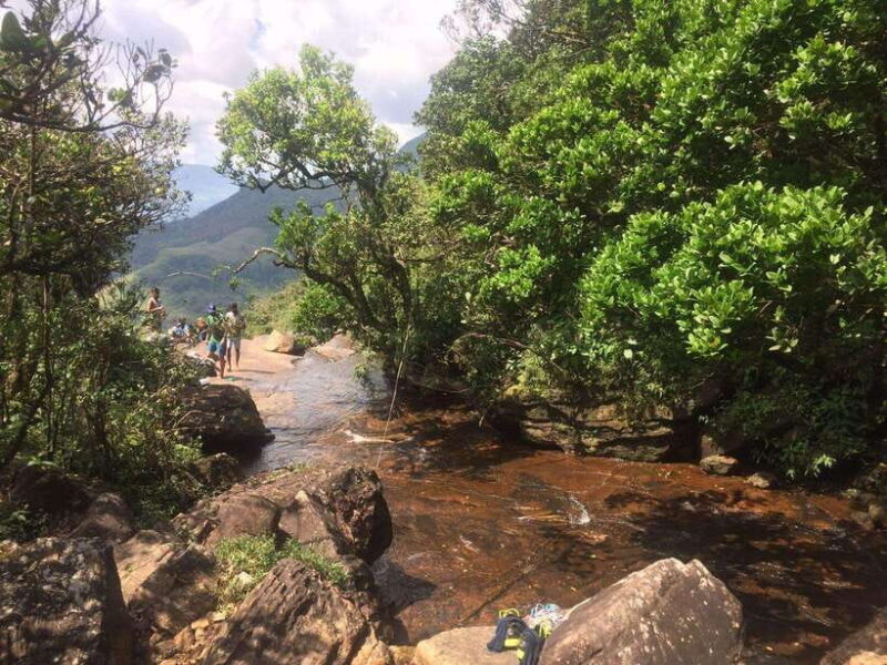 Sri Lanka jungle tour 4 days-rainforests, national parks... - Key Points
